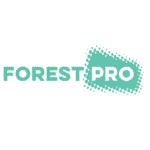香港牌費詳解：2025年最新資訊與數據 - ForestPro